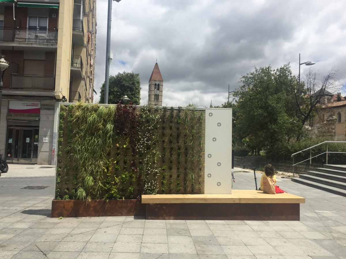 Una red verde contra el cambio climático | IdeVa